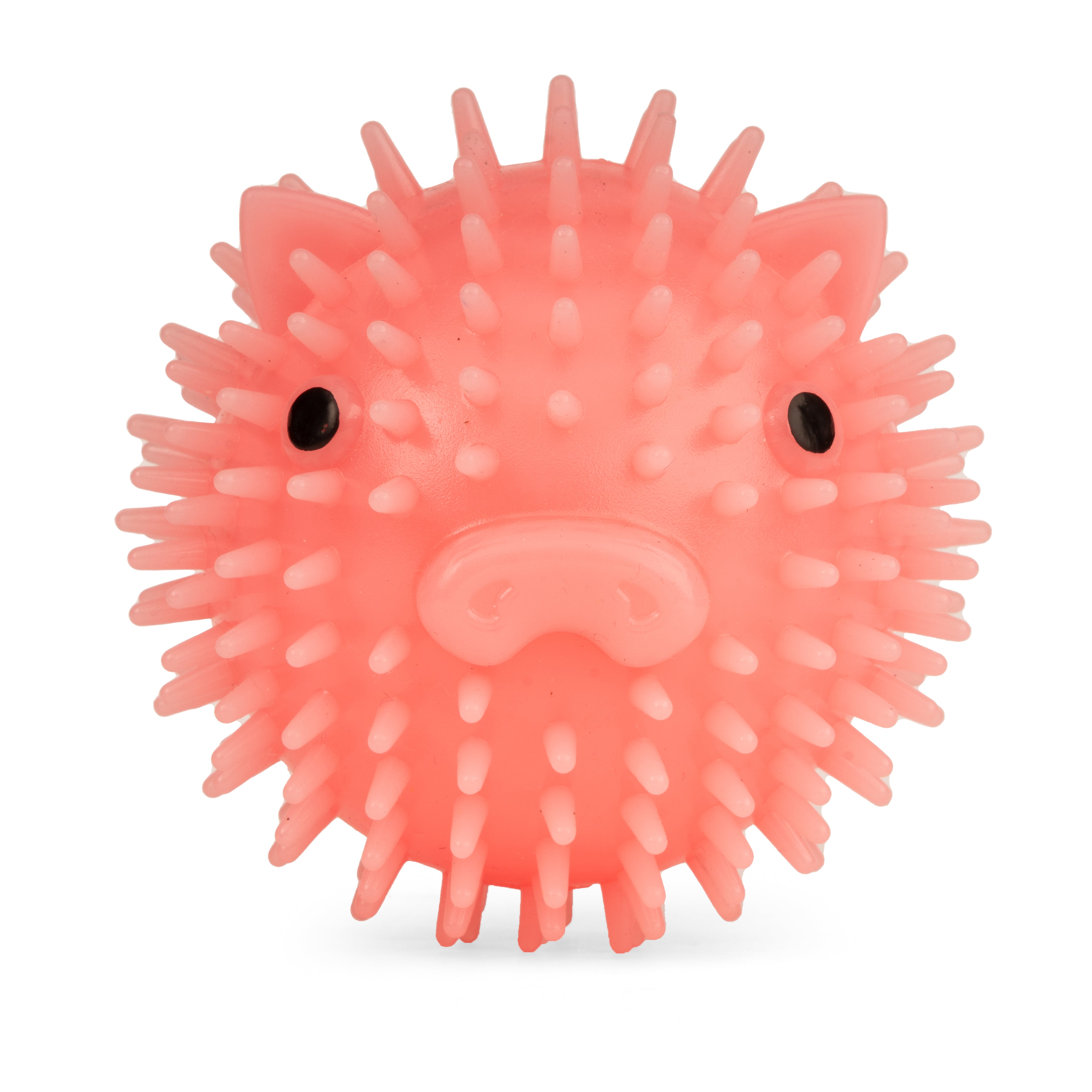 Piggy Dog Ball – Kikkerland B.V